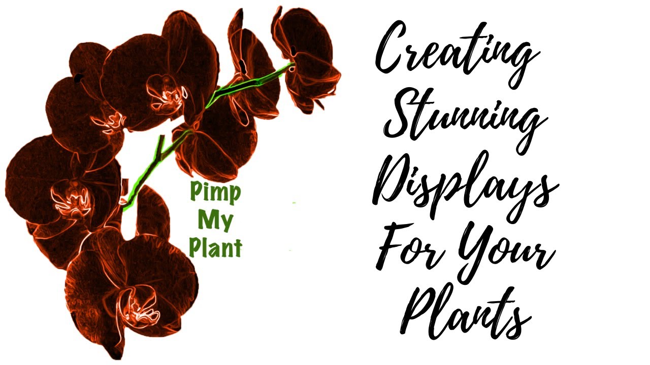 Pimp My Plant Introduction - YouTube