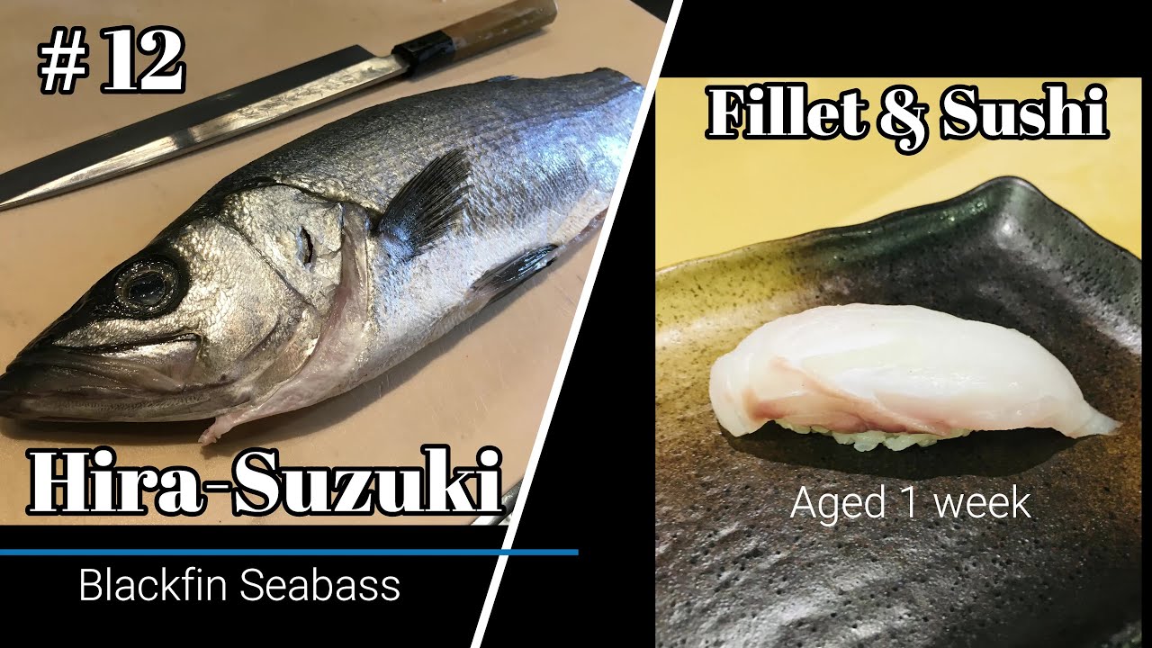 #12 Aged a week "Hira-Suzuki" Blackfin Seabass / Fillet to Nigiri Sushi ...
