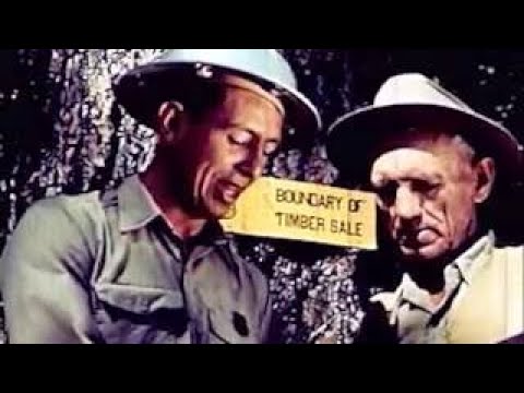 The Story of a Forest Ranger in the 1954 ~ Classic Documentary - YouTube