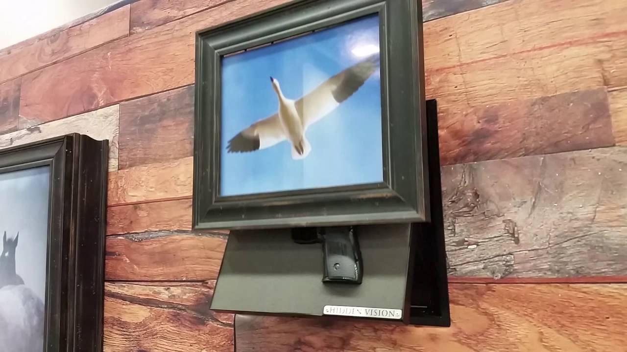HIDDEN VISION, In-wall concealment system, Model M9.1 - YouTube
