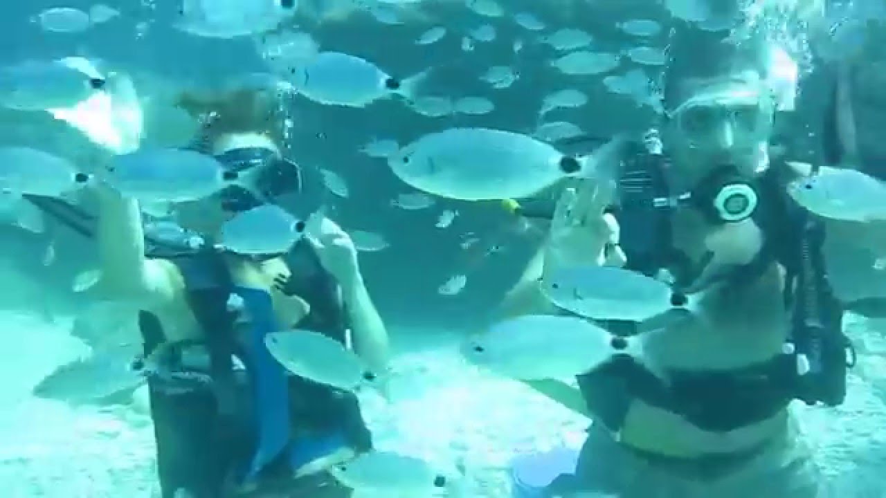 Atlantis Dive Club - Alanya - Türkiye - Scuba Diving - 08.10.2014 - YouTube