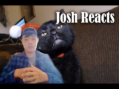 Josh Reacts to Talking Kitty 17-30 (RIP Steve Cash :( ) - YouTube