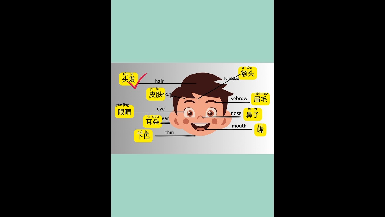 Learn Chinese Daily Words Daily Expression Body And Head learn-chinese-daily-words-daily-expression-body-and-head
