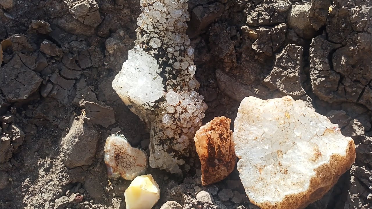 crystal and gemstone hunting in Indian river ! crystal hunting - YouTube
