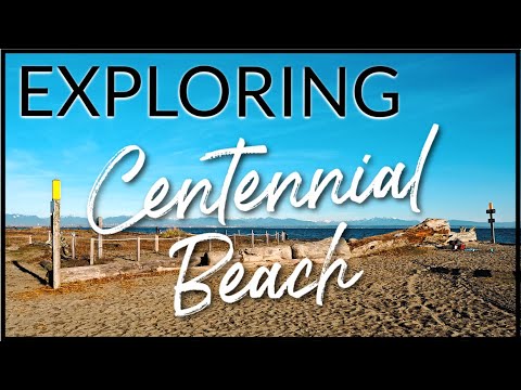 CENTENNIAL BEACH, DELTA BC | The Beach, The Pacific Flyway & More :) # ...