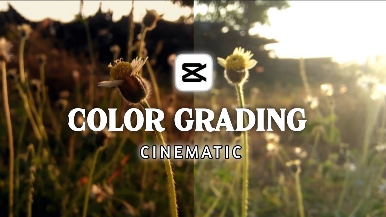 TUTORIAL EDIT CINEMATIC COLOR GRADING DI CAPCUT | CAPCUT TUTORIAL ...