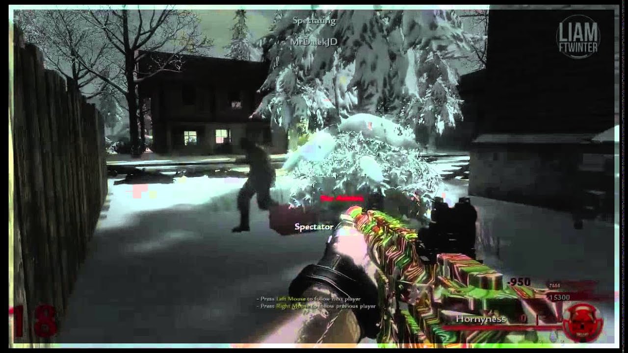 Call Of Duty Zombies - PRESENT EASTER EGG! Custom Map "Snowy Town" W ...