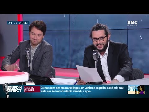 Faites vos enchères: un pénis de cachalot est à vendre