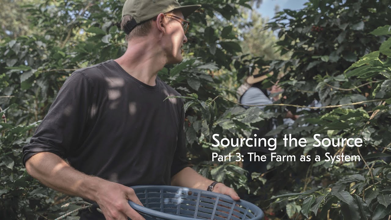 Sourcing the Source, Part 3: The Farm as a System - YouTube