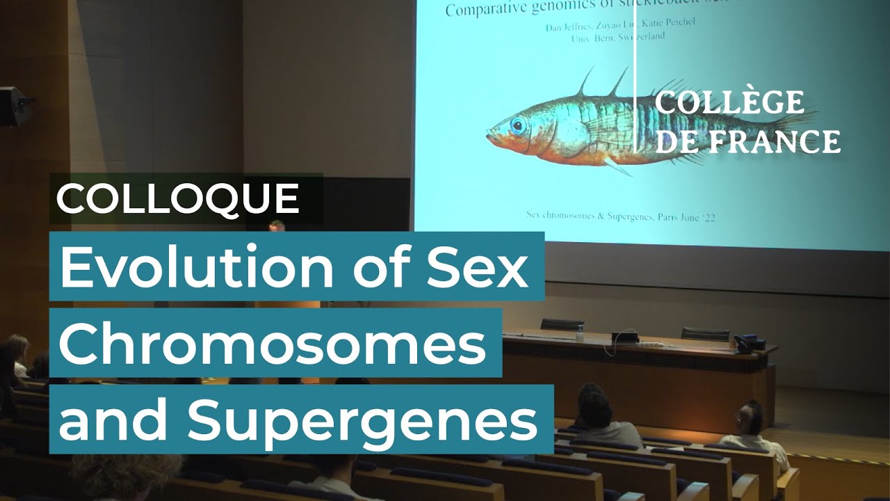 Evolution of Sex Chromosomes and Supergenes (11) – Tatiana Giraud (2021-2022) - YouTube