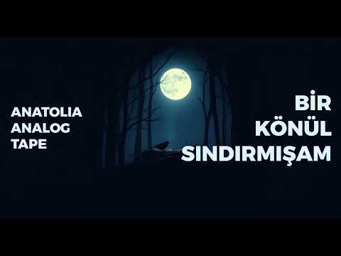 Bir Könül Sındırmışam | Rock Cover | Anatolia Analog Tape