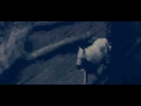 Shiver "Sam" Trailer - YouTube