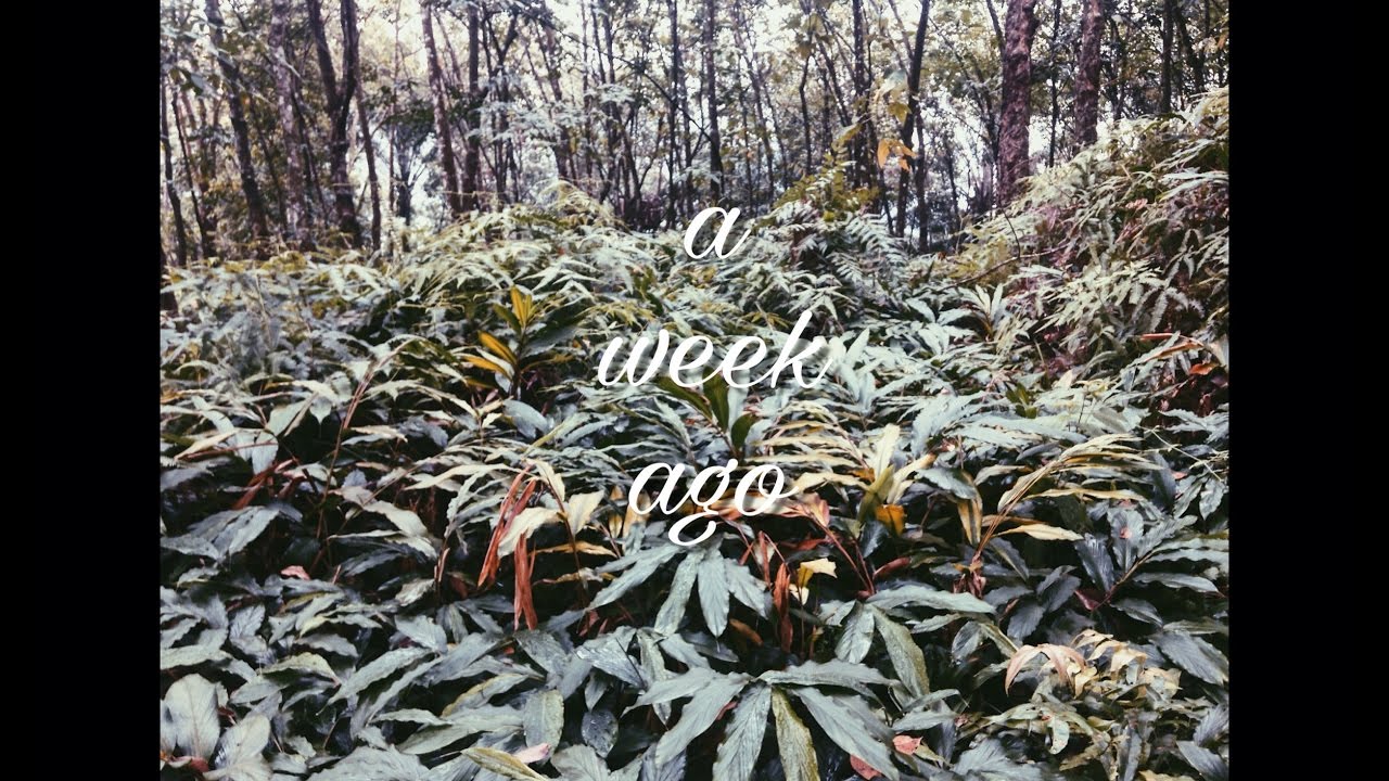 a week ago - YouTube