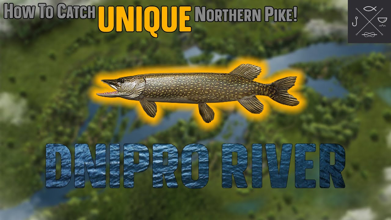 How to catch UNIQUE NORTHERN PIKE at DNIPRO River in Fishing Planet! | EZ Guides - YouTube