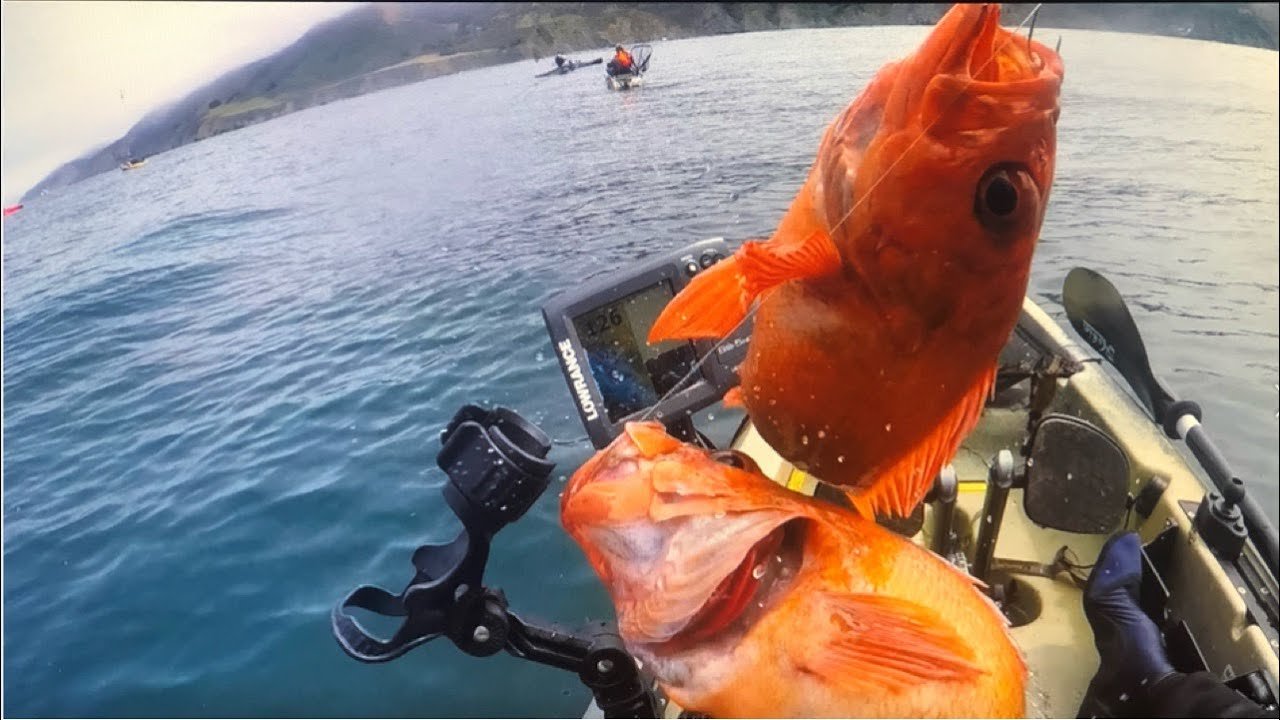 Lots of huge Vermillion fishing | 2 Big Whale - YouTube