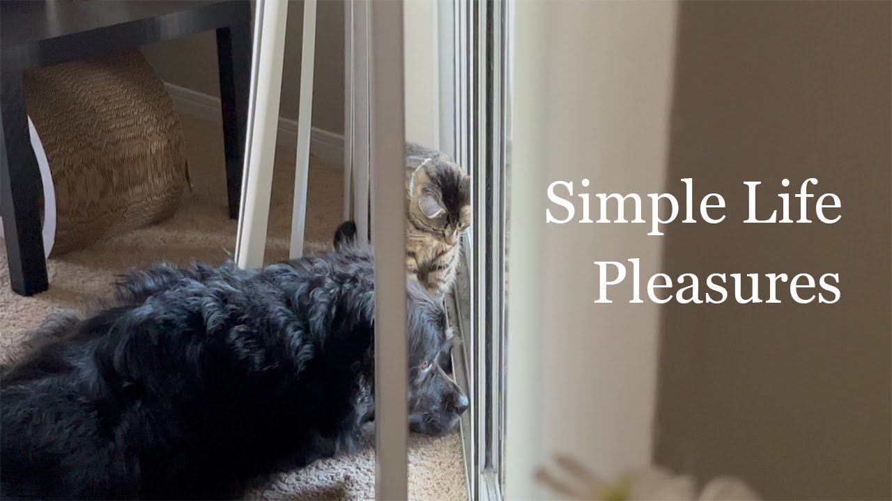 10 Simple Pleasures in 2 Minutes - YouTube
