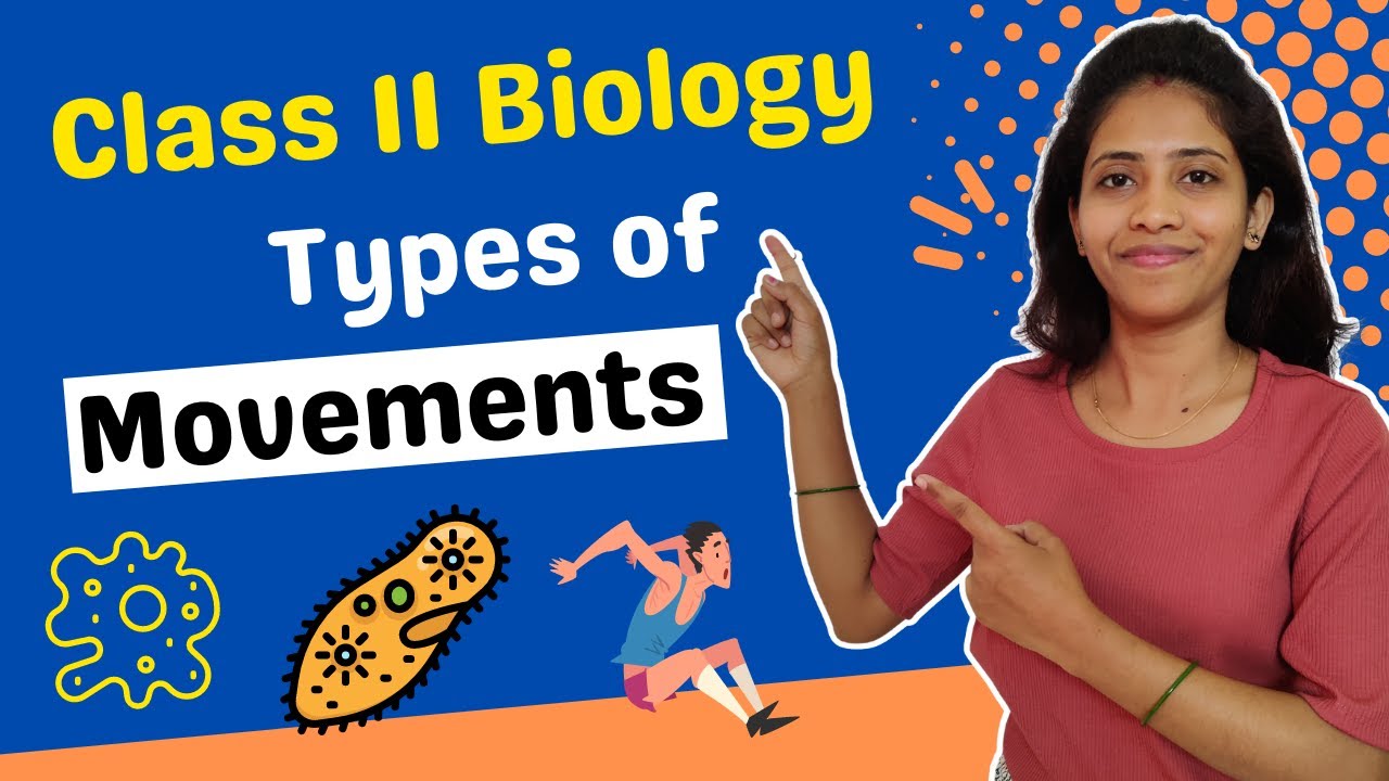 Types of movements | Class 11 Biology | Chapter 20 | Locomotion and ...