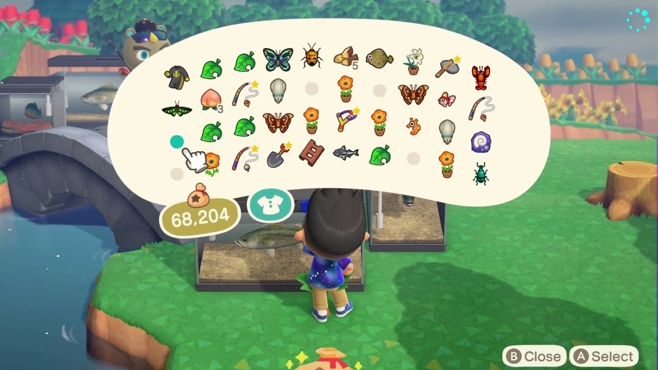 LP ACNH 9 JULY 2020 FIFTININTH DAY & CHIP JUNIOR HAS FINALLY ARRIVED ...