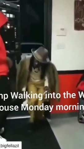 President Trump Dancing when he walks into the White House Monday - YouTube