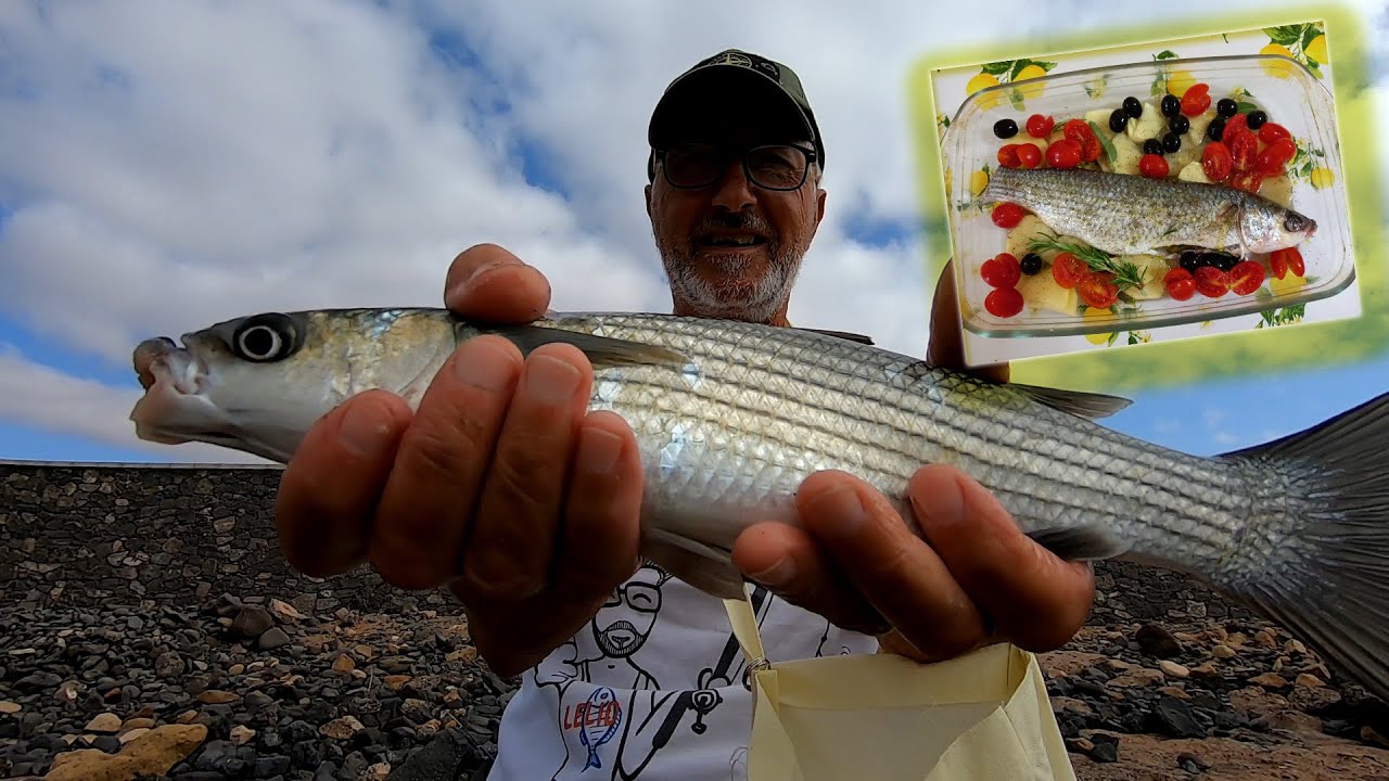 PESCA AL CEFALO GIGANTE + Ricetta di Pesce al Forno [Pescare e Mangiare ...