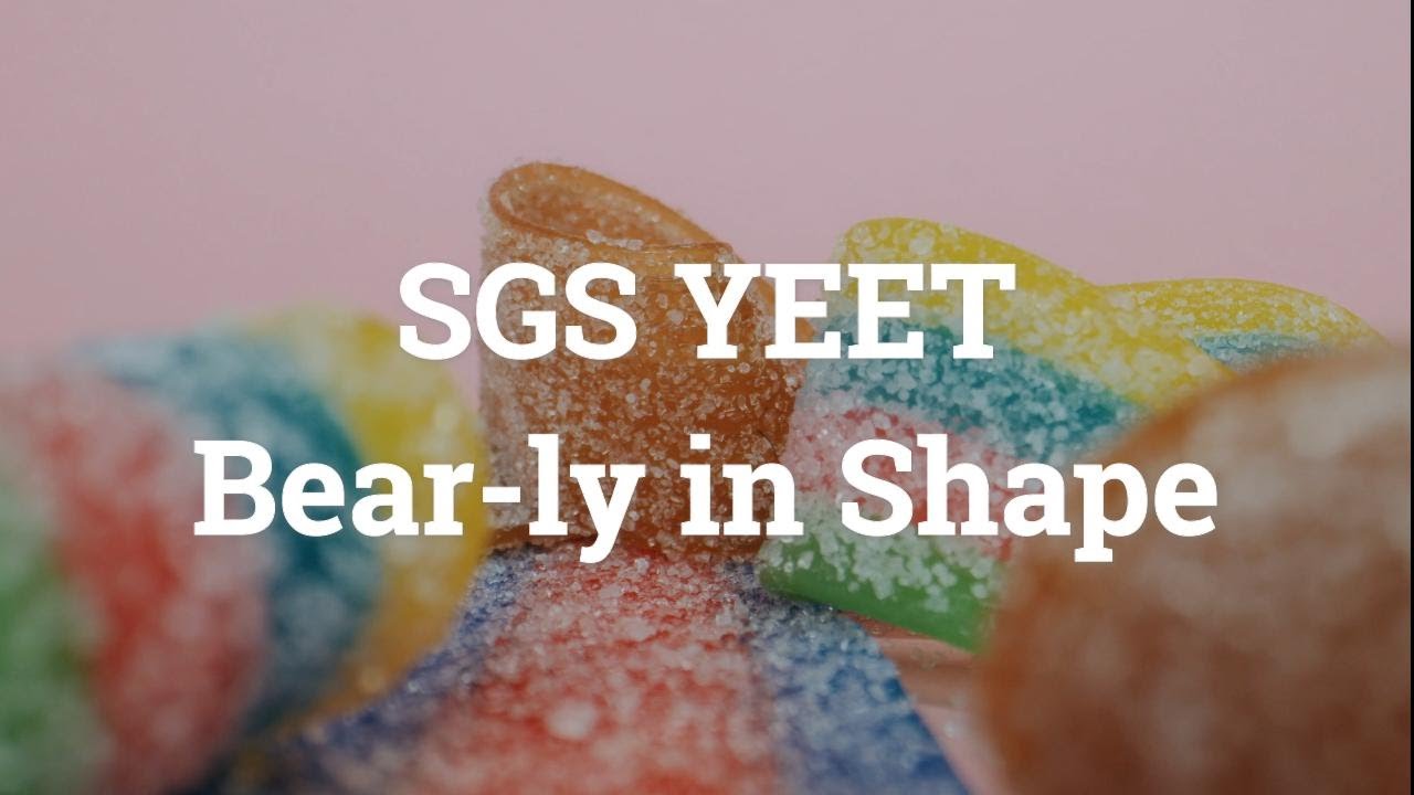 SGS YEET Gummy Bear DIY Experiment - YouTube