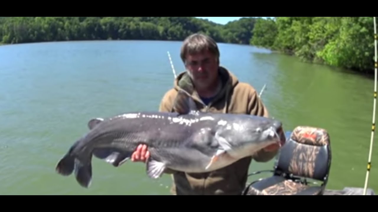 Point To Point - YouTube