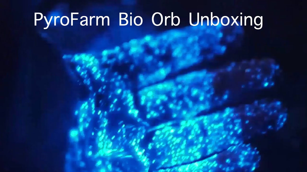 Bio-Orb Unboxing | PyroFarms - YouTube