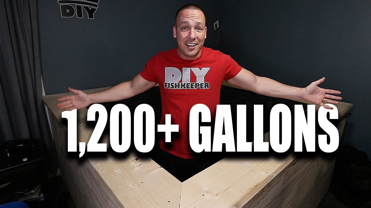 How I built the indoor pond | The King of DIY - YouTube