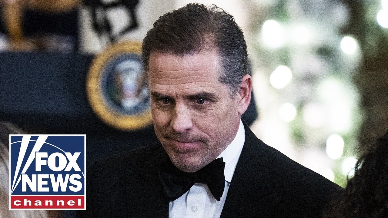 ‘EGREGIOUS’: Hunter lawyers should be disbarred, says former FBI ...