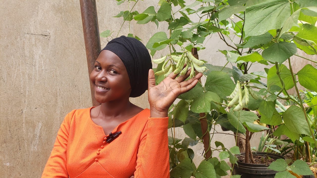 An Evening With Uwera, The Passionate Urban Farmer. - YouTube