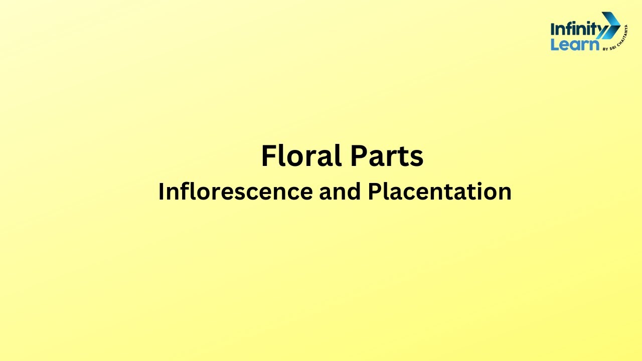 Floral Parts || Inflorescence and Placentation ||Biology - YouTube