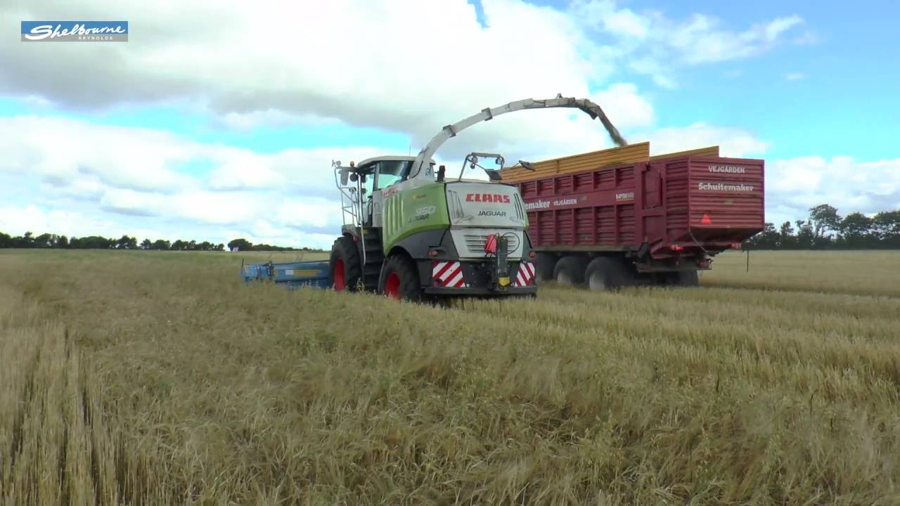 Shelbourne Stripper Header mounted to a forage harvester - YouTube