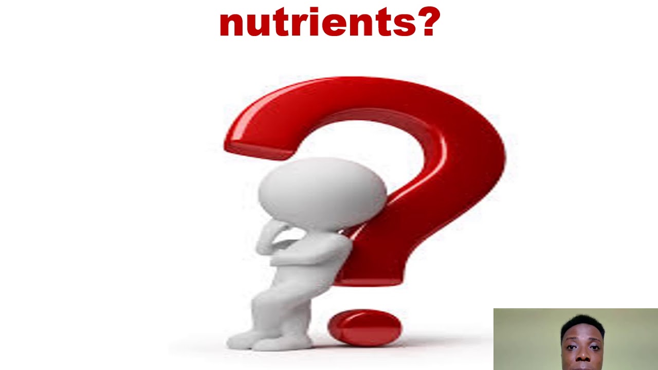 INTEGRATED SCIENCE food nutrients - YouTube