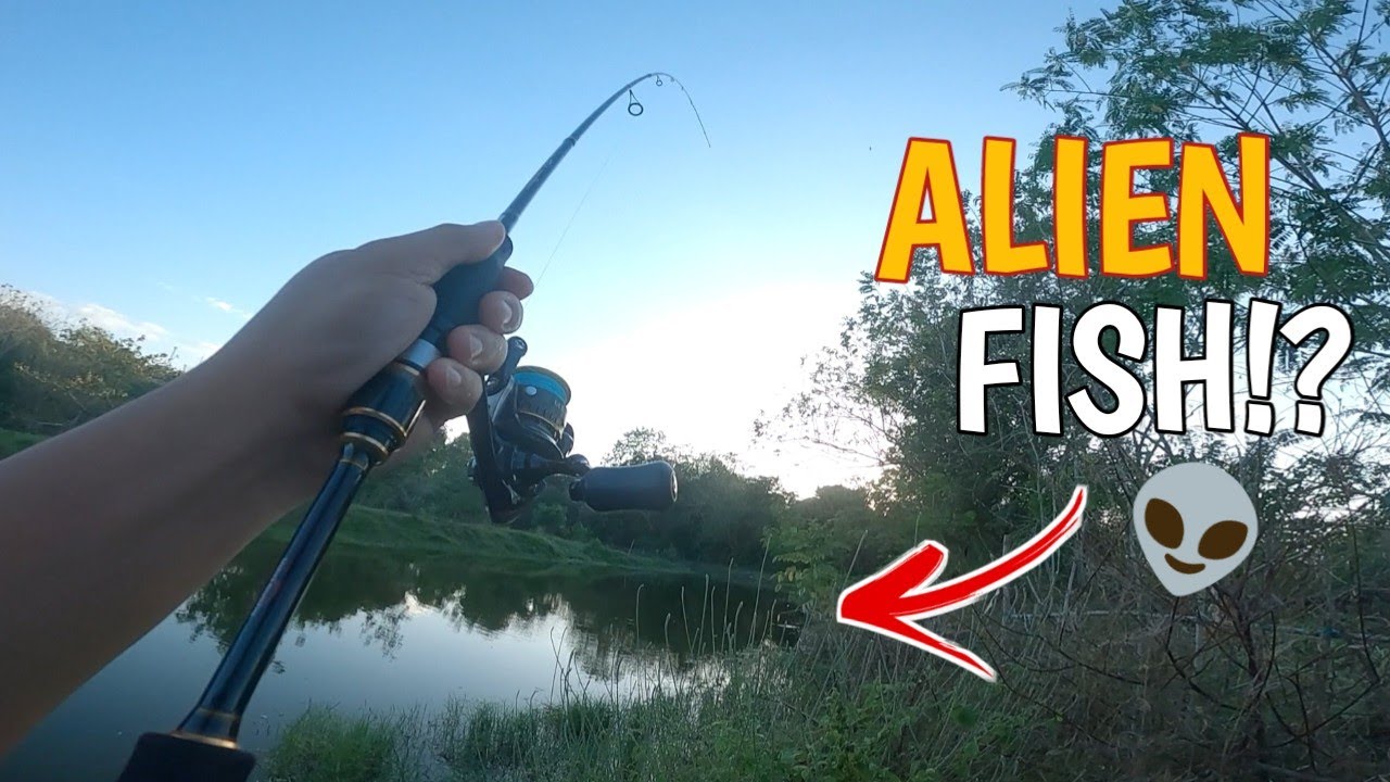 INVASIVE SPECIE. Mukbang siya sa fishing pond - YouTube