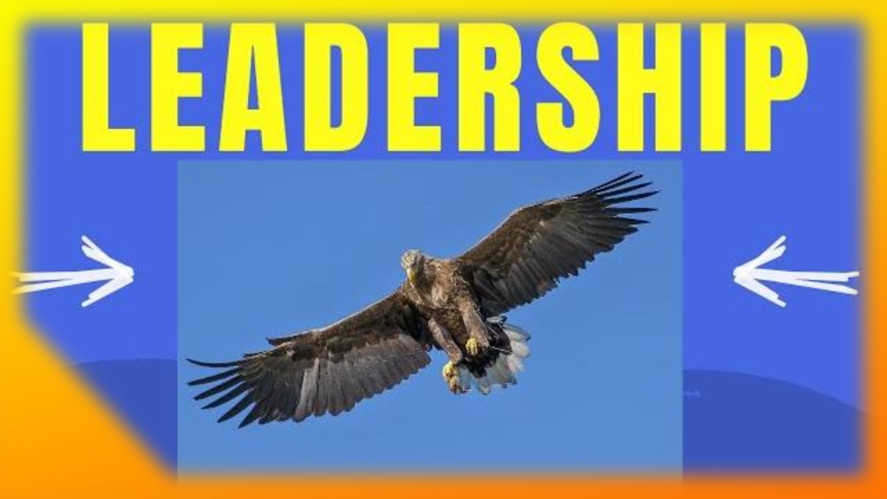 Your Attitude determines Your Altitude | Best Leadership Motivational ...