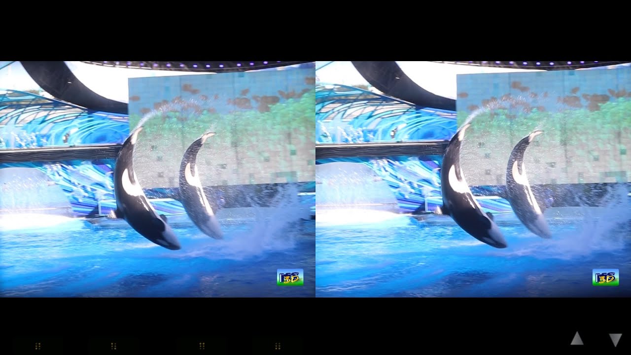 3D One Ocean (Shamu Show) at SeaWorld Orlando 2018 - YouTube