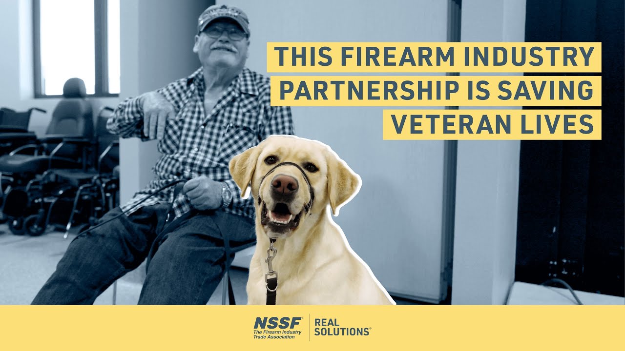Retrieving Freedom: How Service Dogs Help Veterans with PTSD | Partners ...