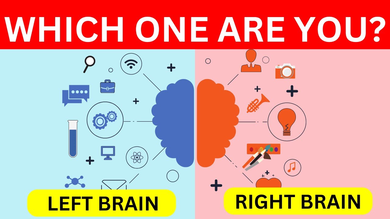 🧠 ARE YOU LEFT BRAIN OR RIGHT BRAIN DOMINANCE? 🌟 PERSONALITY TEST QUIZ ...