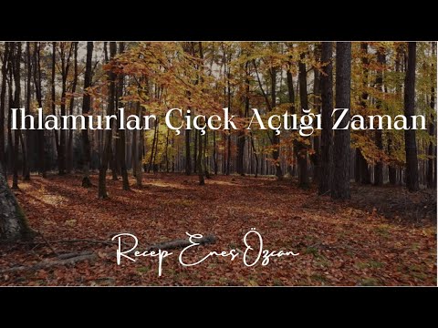 IHLAMURLAR ÇİÇEK AÇTIĞI ZAMAN --BAHATTİN KARAKOÇ (ŞİİR)
