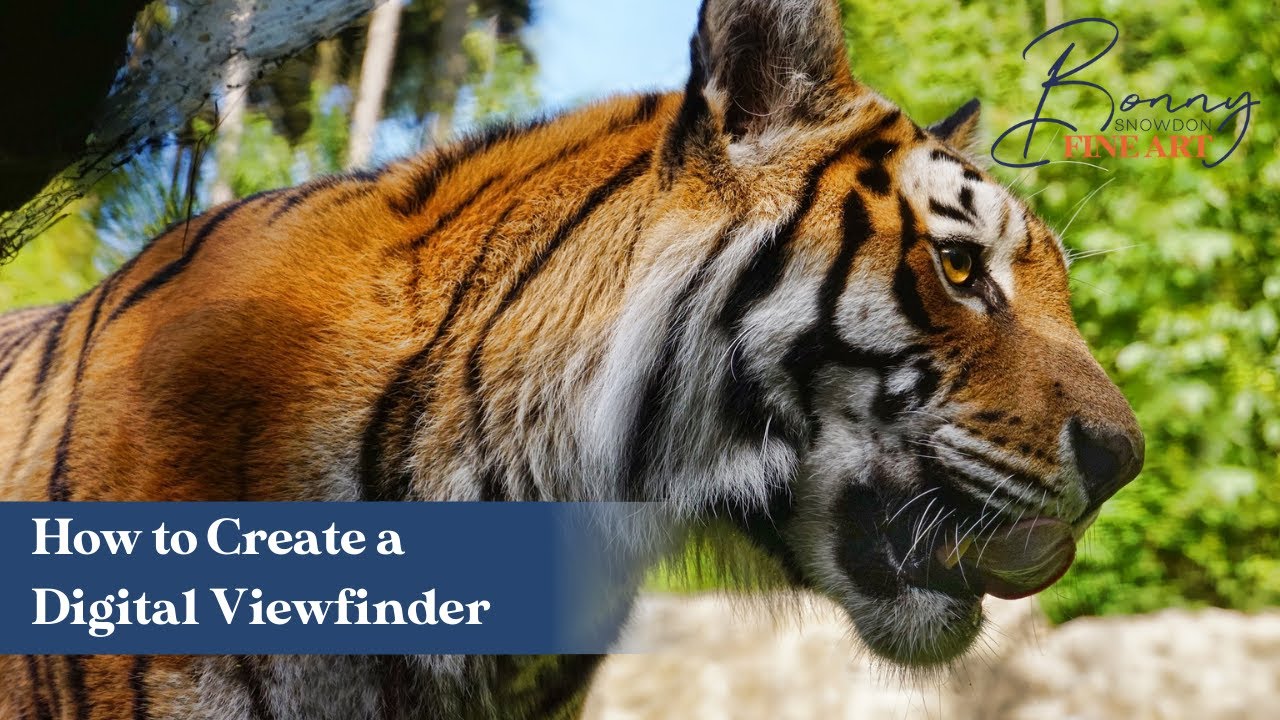 How to Create a Digital Viewfinder | Quick Tips - YouTube