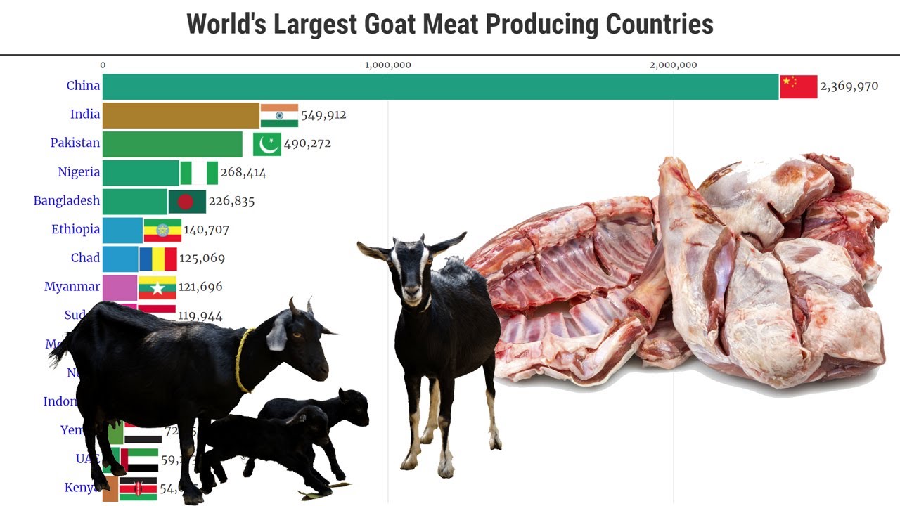 Data Is Beautiful - World's Largest Goat Meat Producing Countries (1961 ...