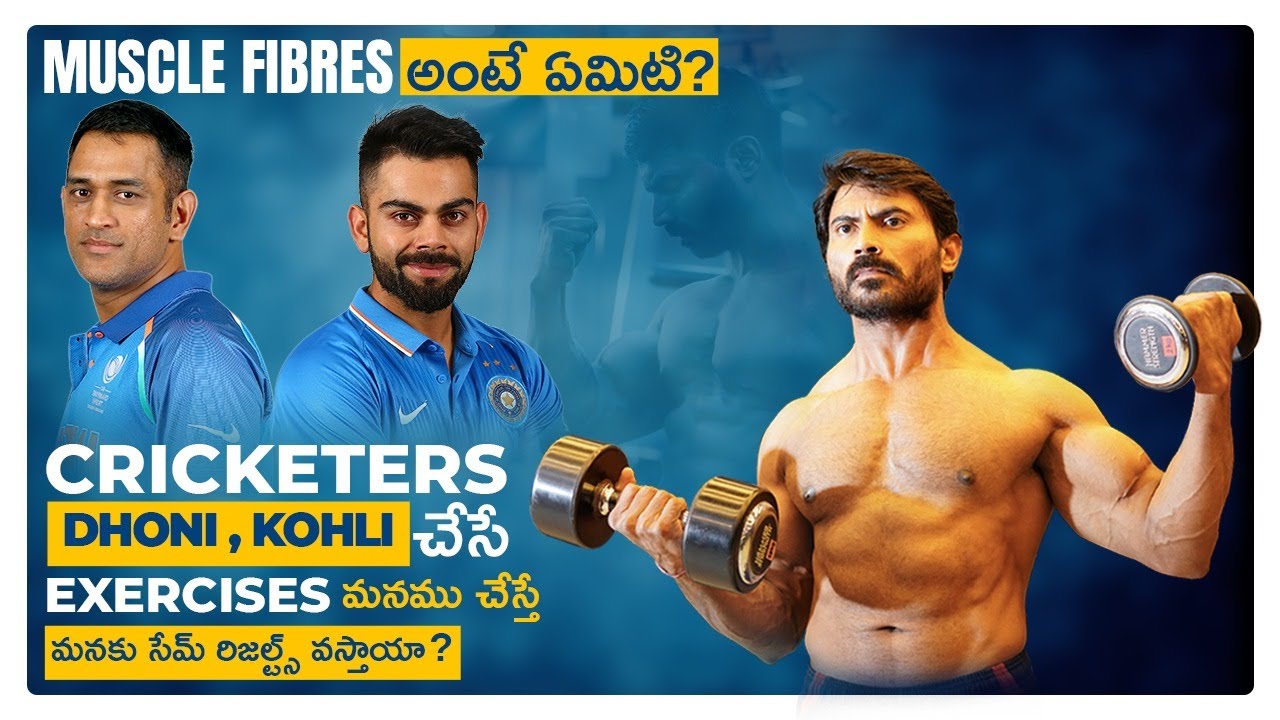 What are Muscle Fibers ? || Type 1 Vs Type 2 Muscle Fibers - YouTube