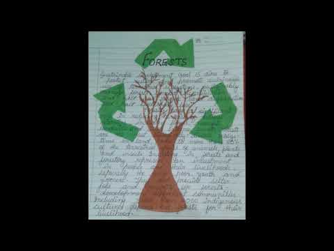 class 10 project on sustainable development - YouTube