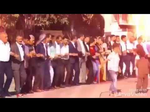 Koma Roni - Zırave