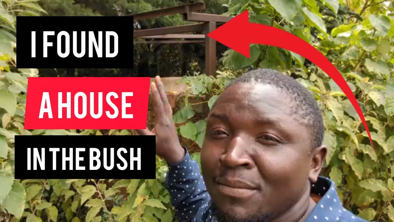 I found a house in the BUSH - YouTube