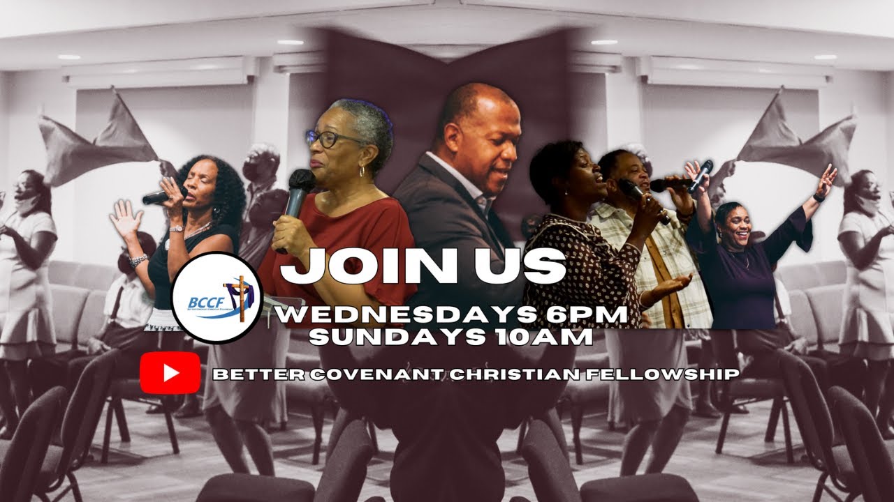 Welcome to the BCCF YouTube channel! - YouTube