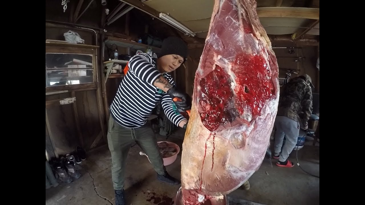 Hunting Squirrels plus two deer and skinning, cooking, and eating deer ...