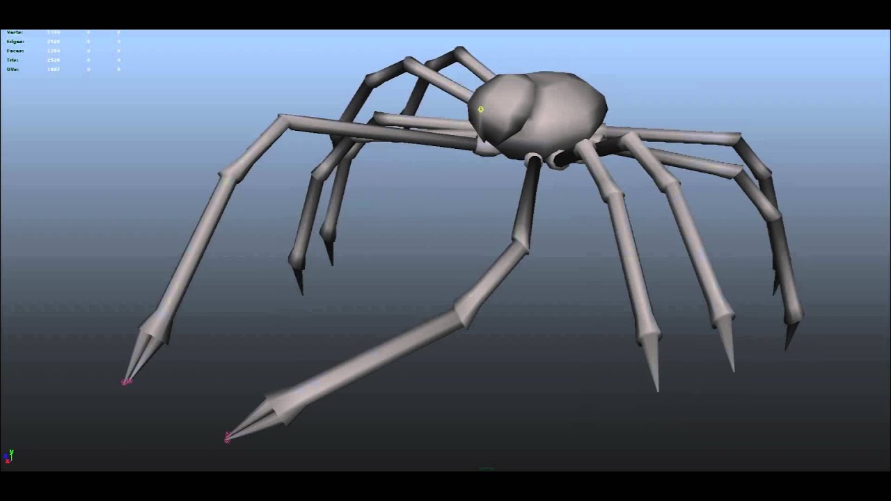 Japanese Spider Crab Dancing!! - YouTube