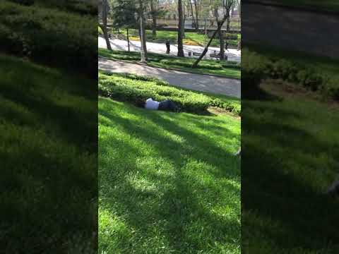 Alp tuğra mert Tuğçe