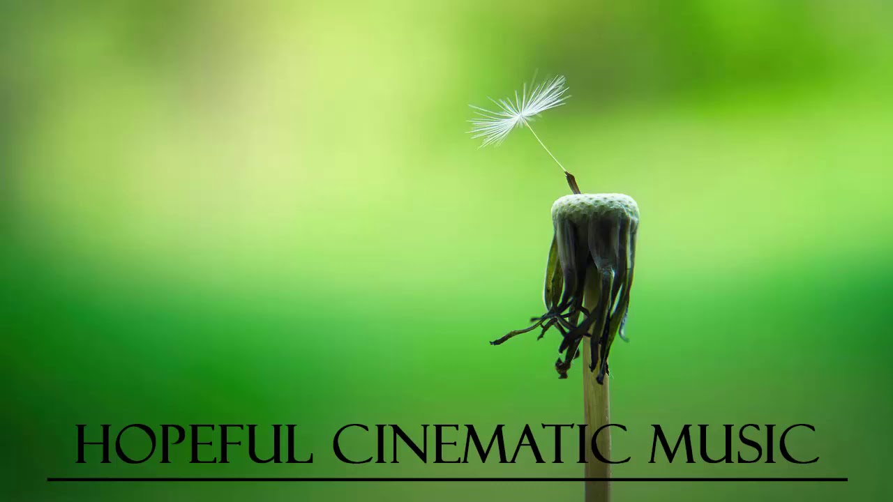 Emotional Ambient Background Music - Cinematic Hopeful Piano Music for ...